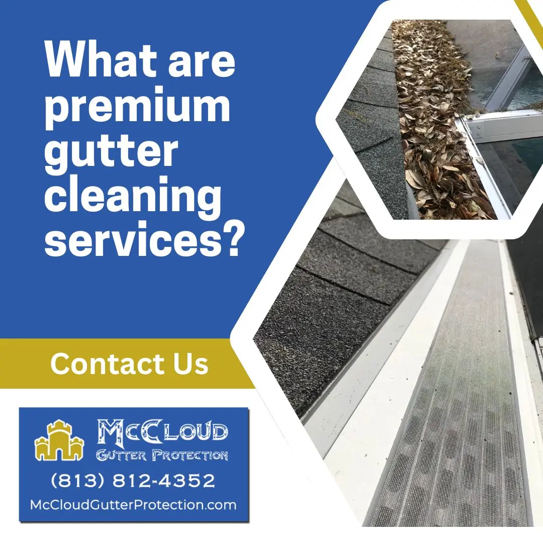 What are Premium Gutter Cleaning Services